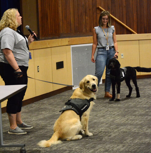 Therapy dogs to be a part of district this year | News, Sports, Jobs ...